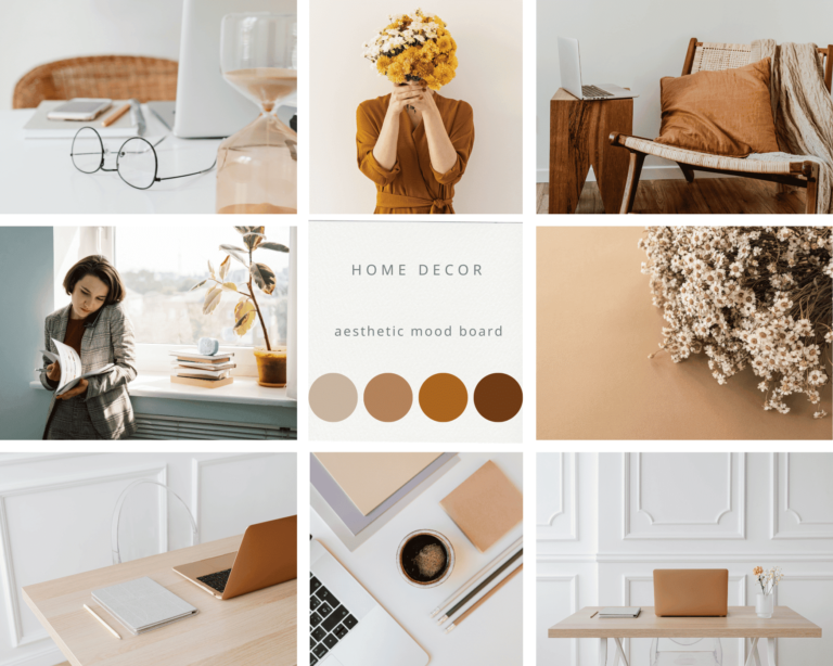 Création image de Marque identité positionnement - IBFY